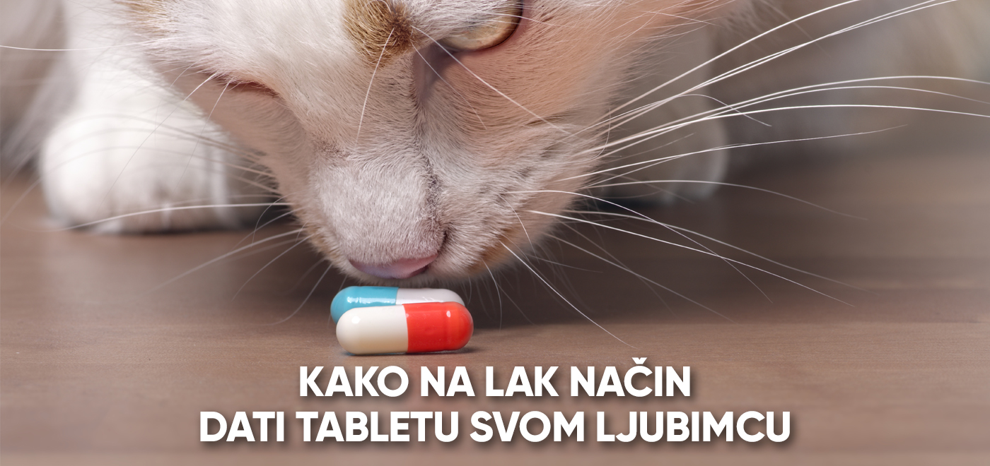 Kako na lak način dati tabletu svom ljubimcu